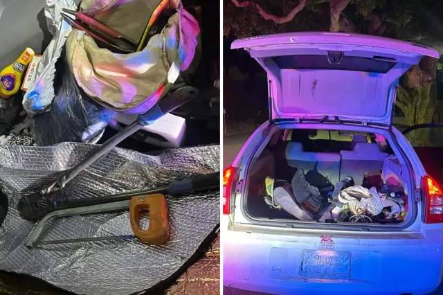 Mugshots of Alleged California Fire Looters Released - Newsweek