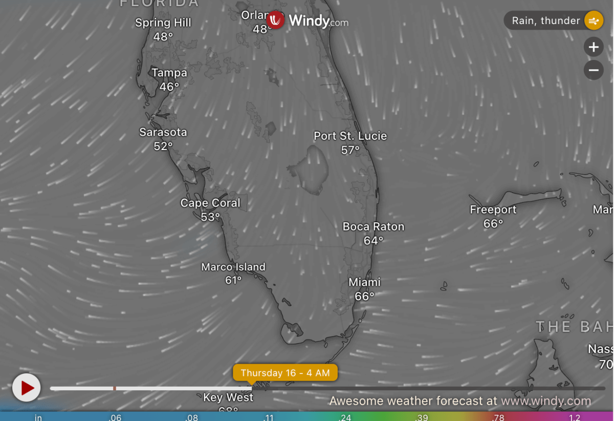 What’s the Weather Like in Miami This Week? Temperature, Rain Forecasts ...