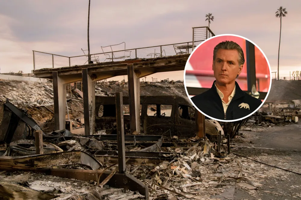 Gavin Newsom Cracks Down on Predatory Wildfire Investors - Newsweek