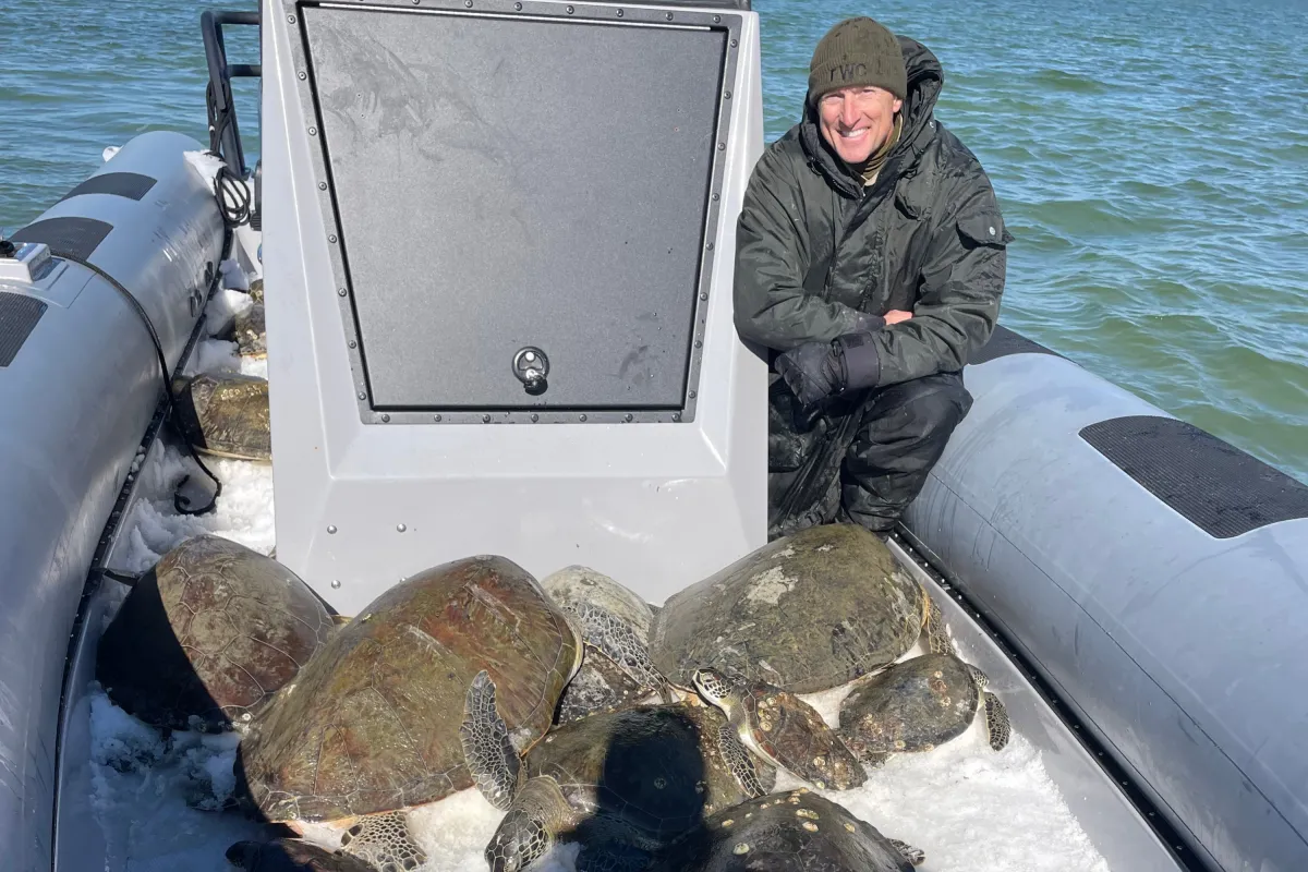 Sea Turtles News & Latest Pictures From Newsweek.com