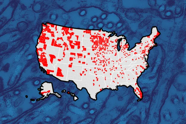 Bird Flu: Updated Map Reveals Where Virus Is Thriving - Newsweek