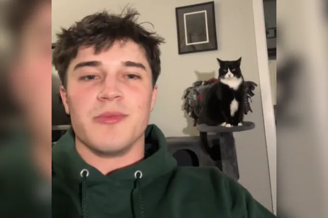 Proud Cat’s Dad Shows Off Unexpected Trick He Taught Her as a Kitten ...