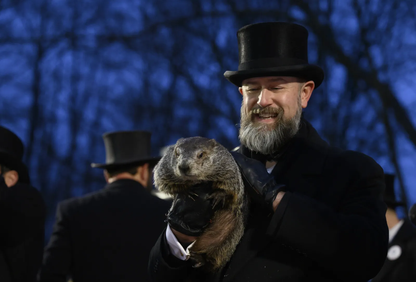 How to Livestream a Groundhog Today as He Predicts a Longer Winter or ...