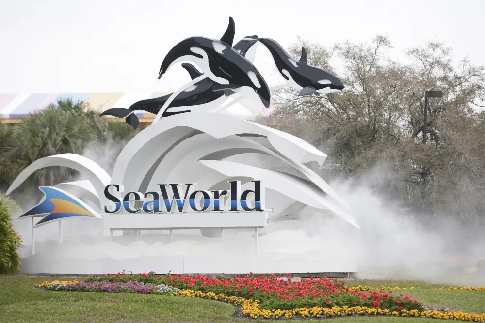 PETA Files Legal Objection to SeaWorld Settlement: ‘Animal Abuse ...
