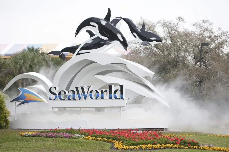 PETA Files Legal Objection to SeaWorld Settlement: ‘Animal Abuse ...