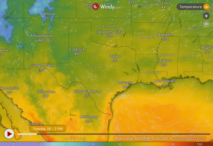 Is Houston’s Cold Weather Over? Forecast After Winter Storm - Newsweek