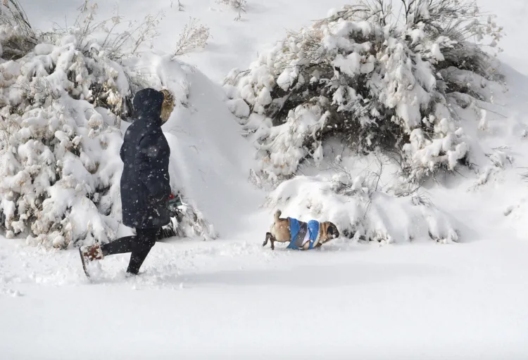New Mexico Mountains to Get Up to 12 Inches of Snow - Newsweek