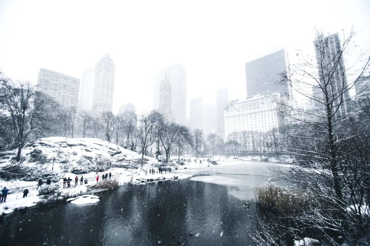 New York Winter Storm Live Tracker - Newsweek