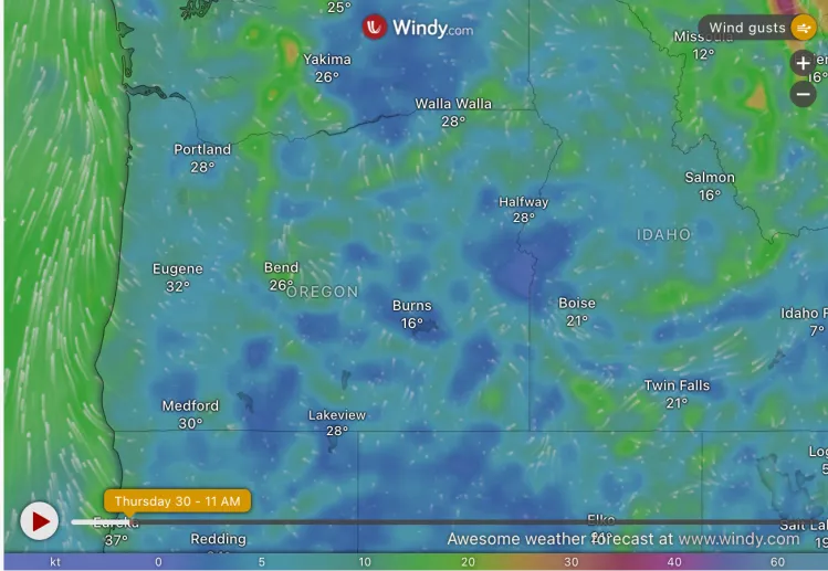 Oregon Wind Advisory Warns of Possible Power Outages, Gusts Up to 50 ...