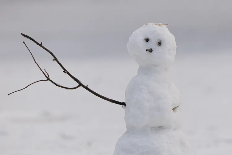 Winter Storm Warnings for 12 States As 48 Inches of Snow To Hit - Newsweek