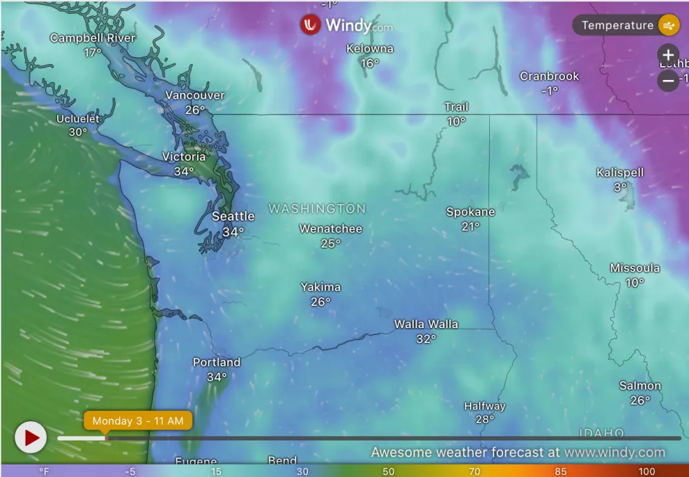 Seattle Hit With Cold Spell: Will City See Snow This Week? - Newsweek