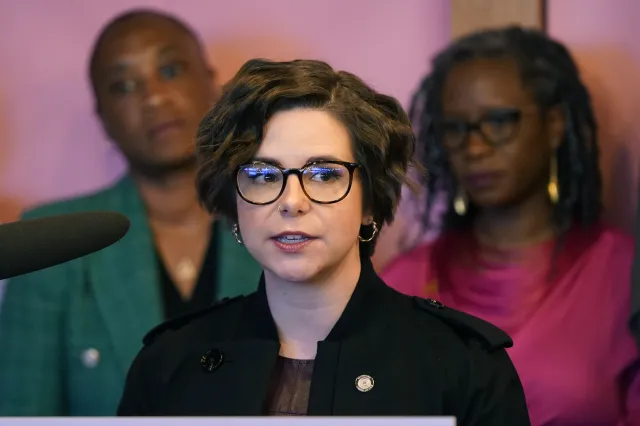 Michigan Lawmaker Undergoes Sterilization to Avoid Pregnancy Under ...
