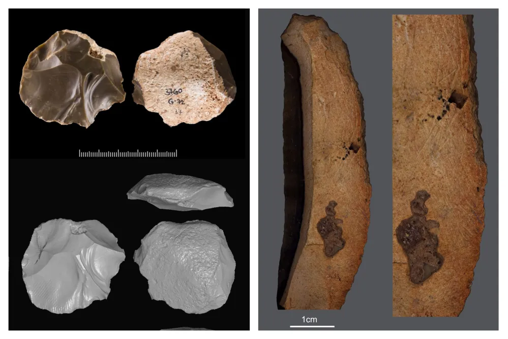 Prehistoric Engravings Reveal Advanced Symbolic Behavior Among Early ...