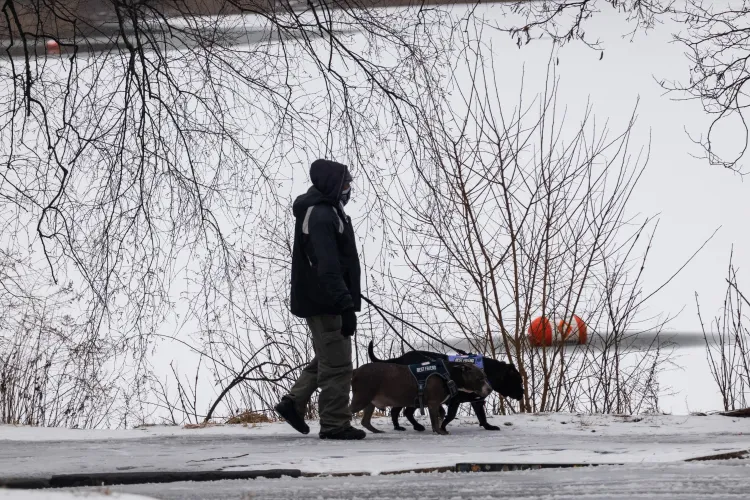 Winter Storm Warning Issued for 12 States as 9 Inches of Snow Forecast ...