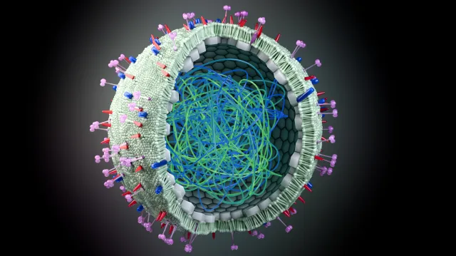 Cat Owners Warned of Bird Flu Risk: ‘Vigilance Is Key’ - Newsweek