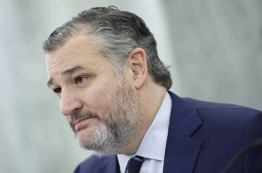 Ted Cruz Reveals Warning He Issued to NATO Ally - Newsweek