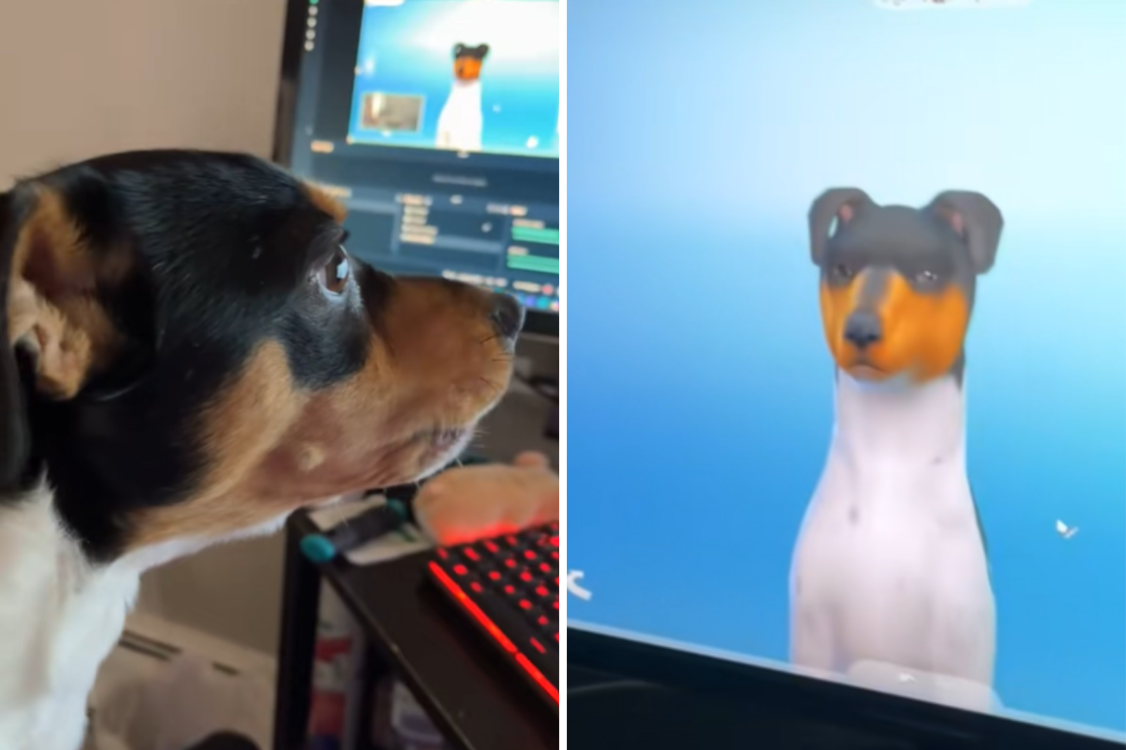 Hysterics at Dog’s Unexpected Reaction to Video Game Version of Himself ...