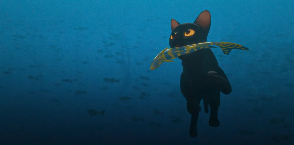 Flow Gets New Streaming Date – How to Watch - Newsweek