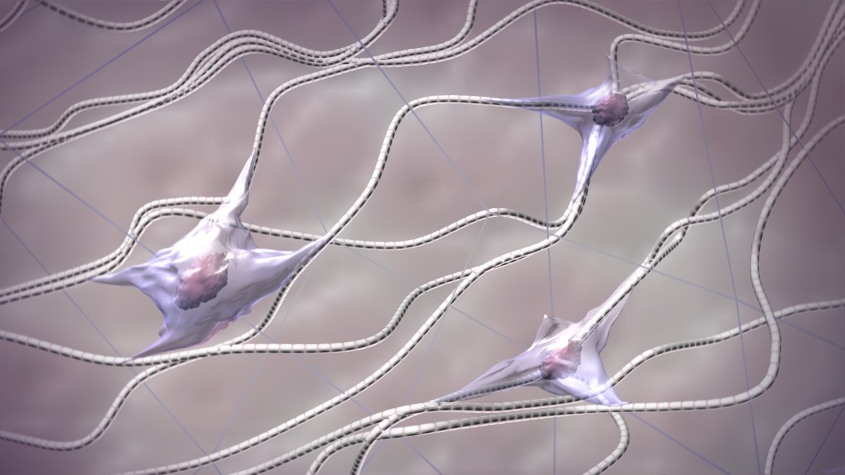 Bioengineers Reveal Key to Reversing Cellular Aging - Newsweek