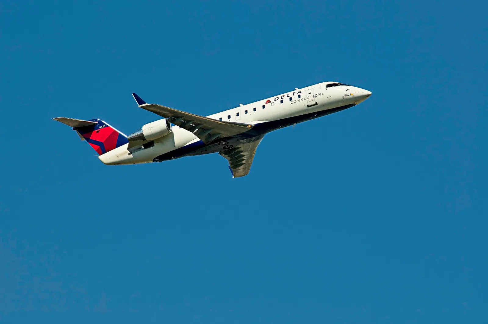 Toronto Delta Plane Crash Survivor’s Q&A Goes Viral: ‘In Shock’ - Newsweek