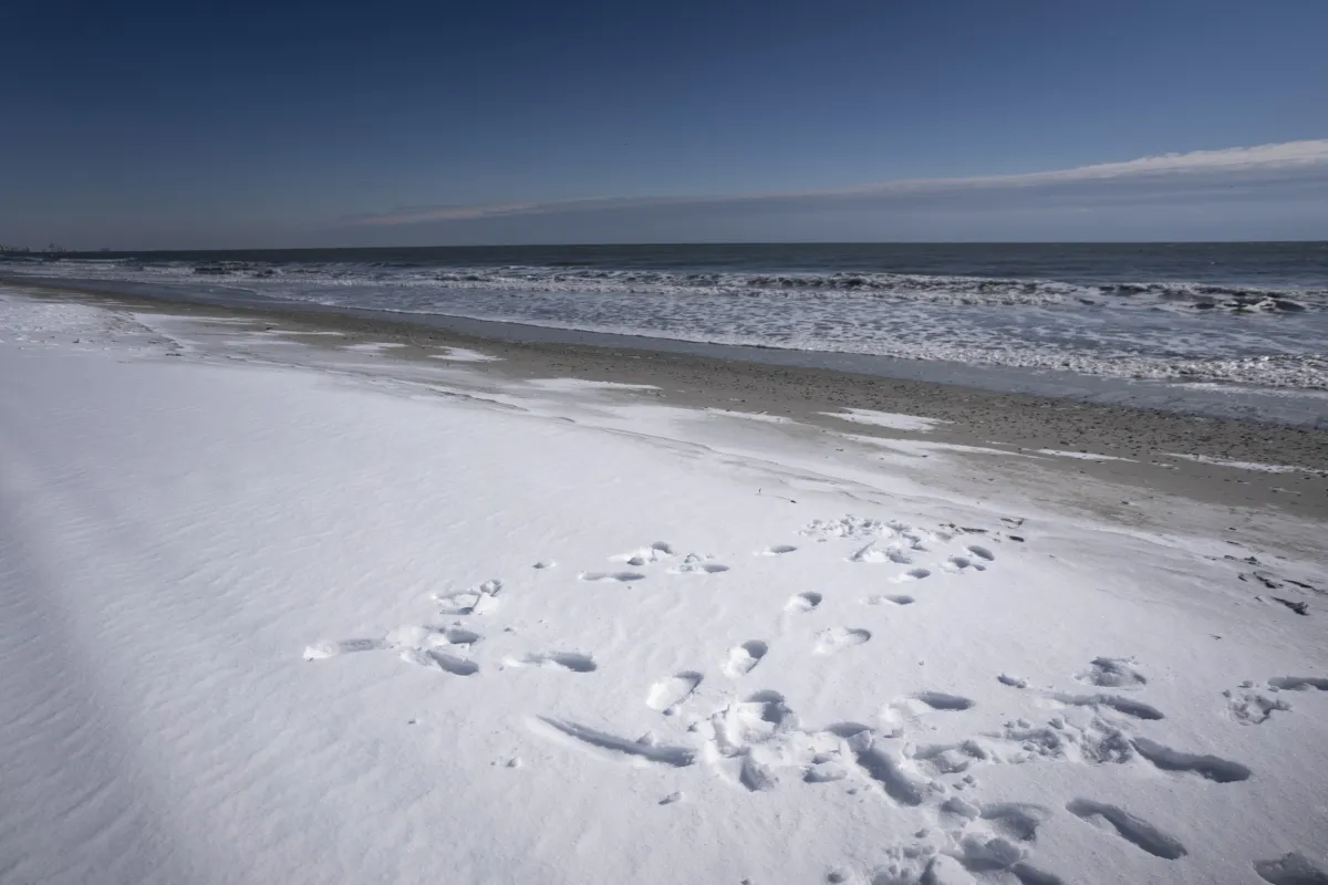 Video Shows Snow-Covered Beach Amid ‘Rare’ Snowfall - Newsweek
