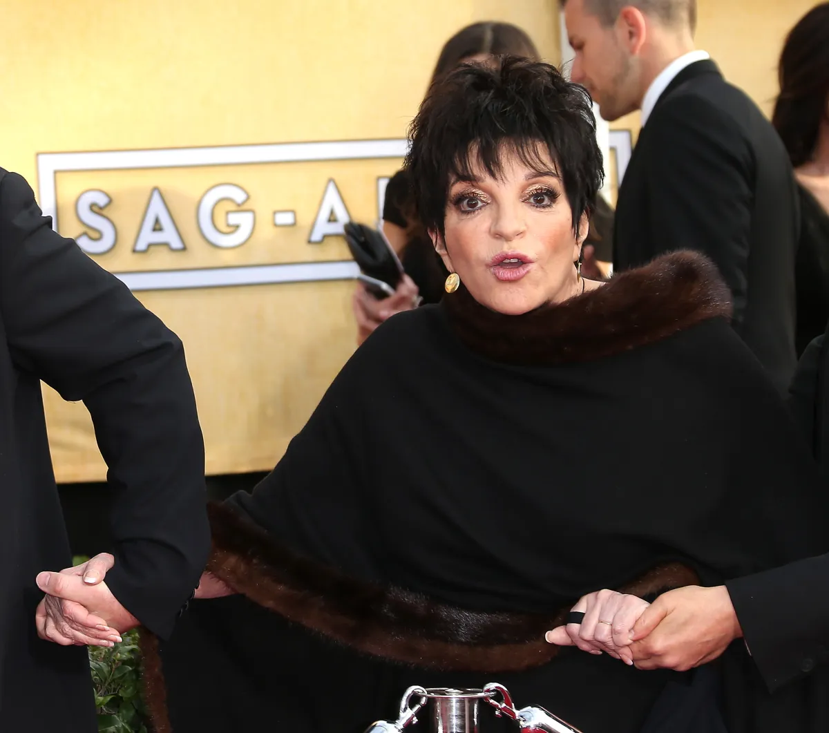 Liza Minelli, 78, Announces Major News About New Project - Newsweek