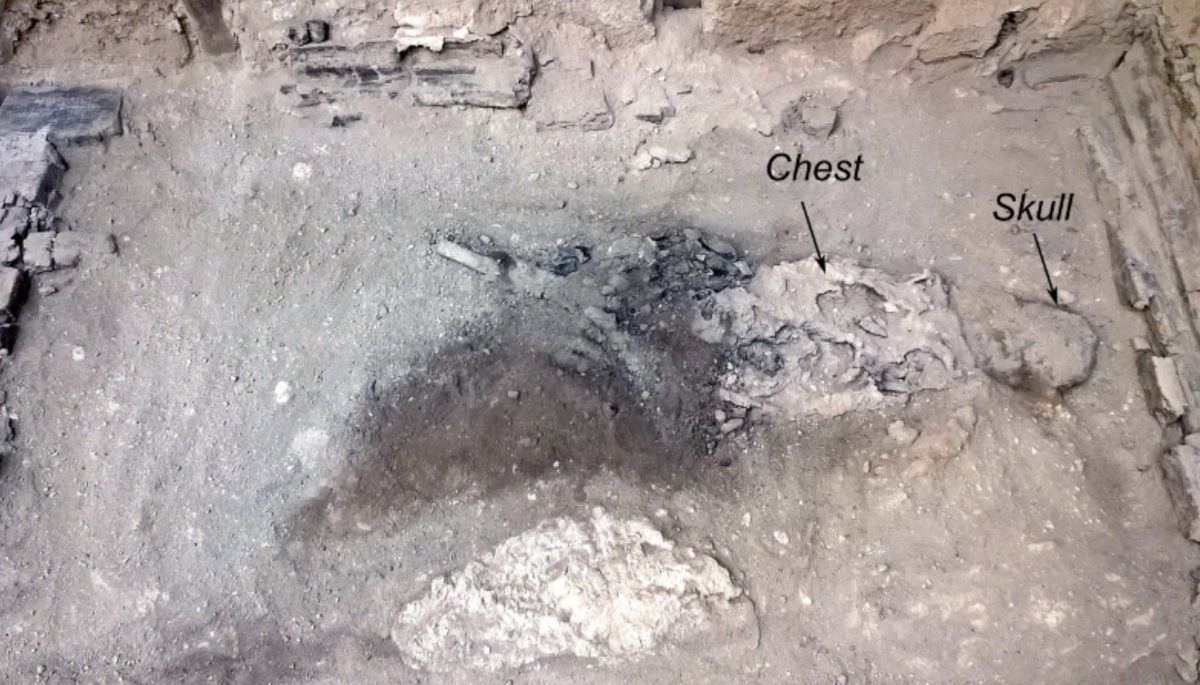 Vesuvius Volcano Ash Cloud Cooked Roman Man’s Brain Into Glass Fossil ...