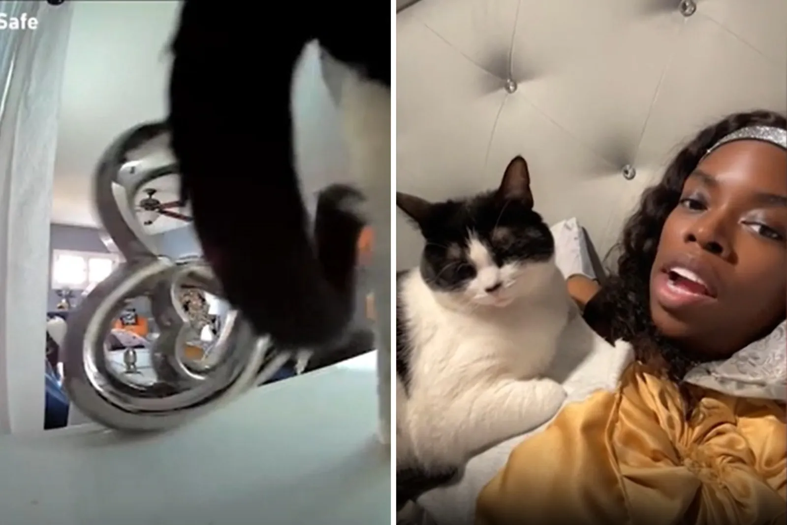 CCTV Catches Cat Breaking Vase—Her Reaction Says It All - Newsweek