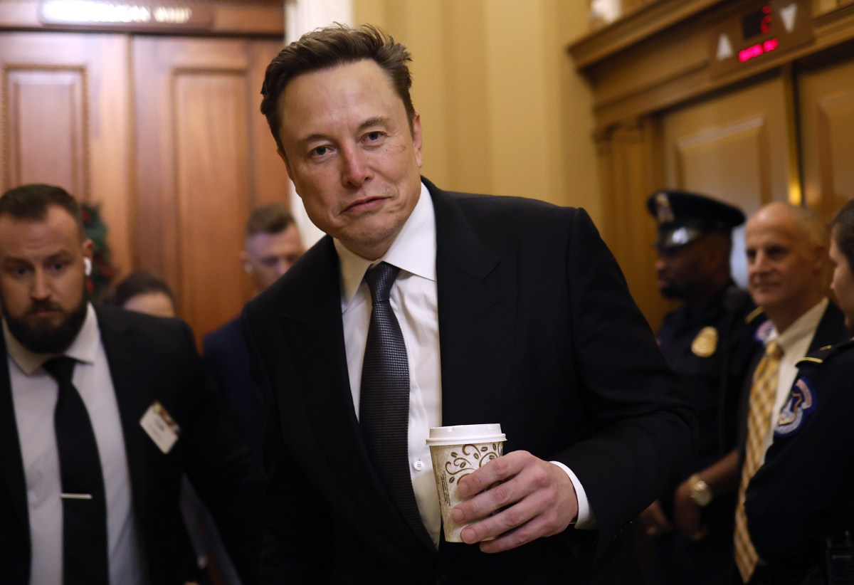 Fans React to Elon Musk, 53, Welcoming His 14th Child - Newsweek