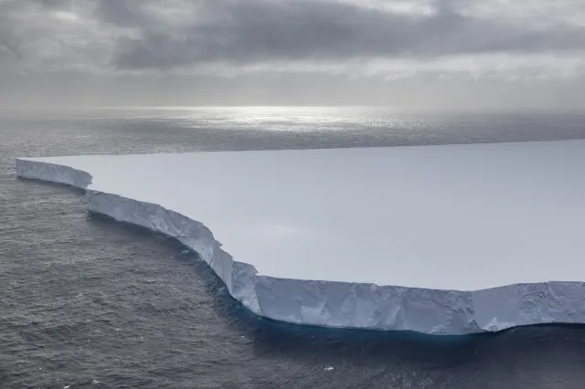 Mapped: World’s Largest Iceberg Runs Aground Off South Georgia - Newsweek