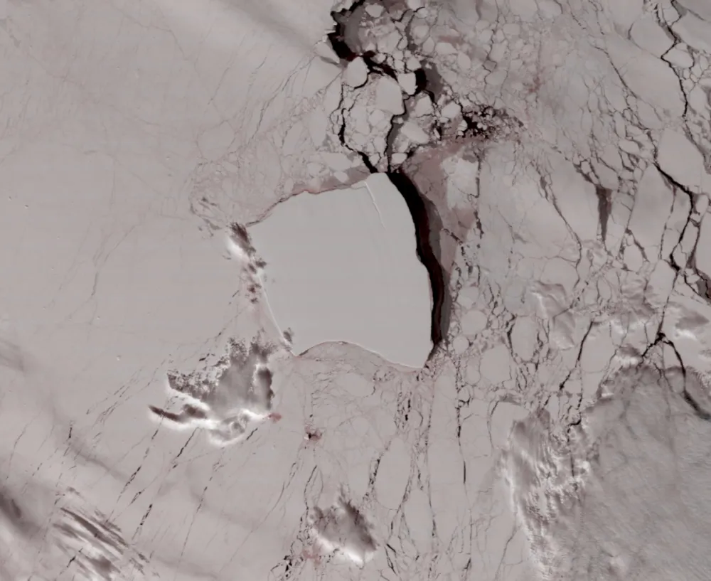 iceberg News & Latest Pictures From Newsweek.com
