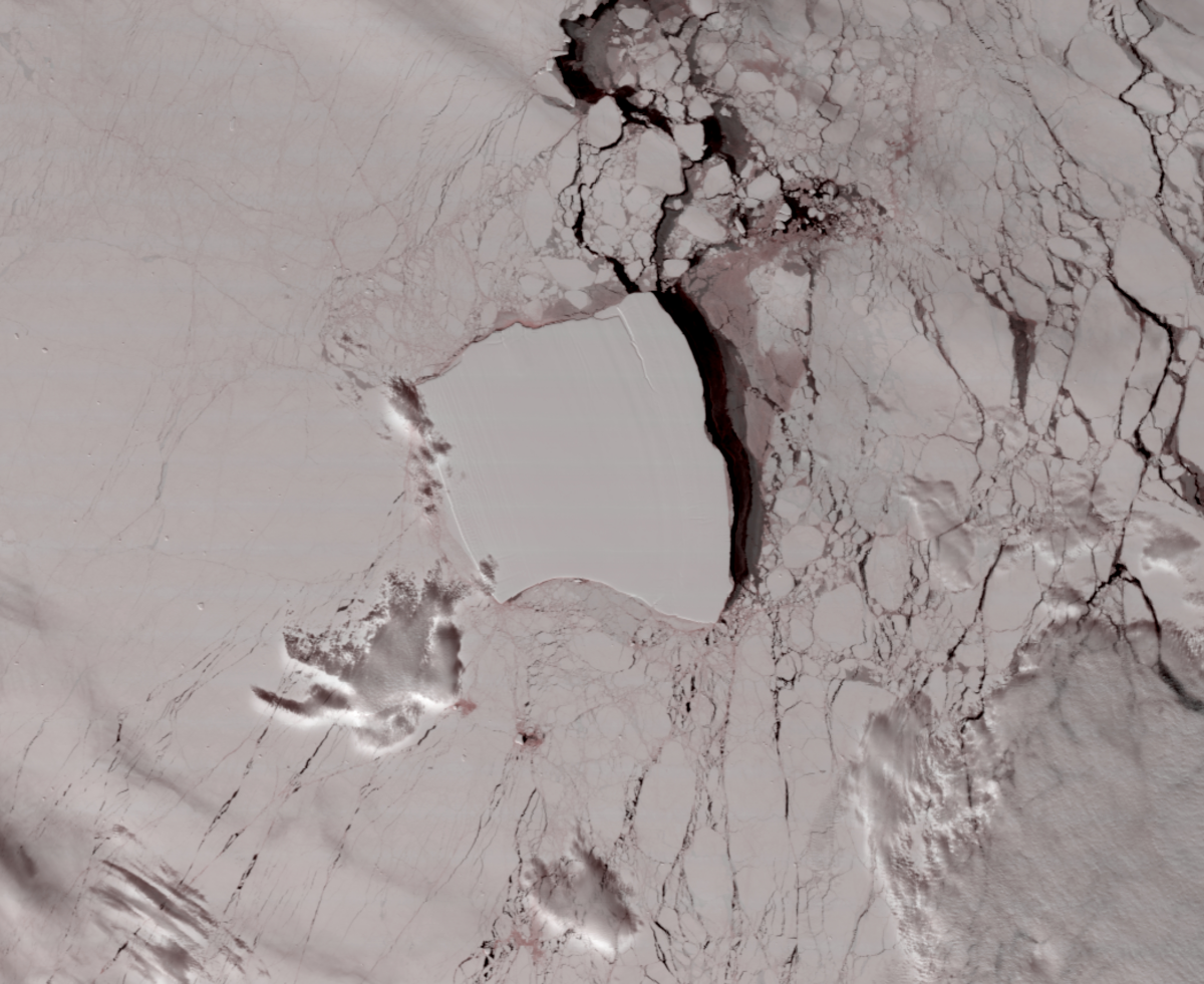 Mapped: World’s Largest Iceberg Runs Aground Off South Georgia - Newsweek