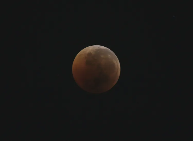 How to See the Blood Moon Lunar Eclipse This Month - Newsweek