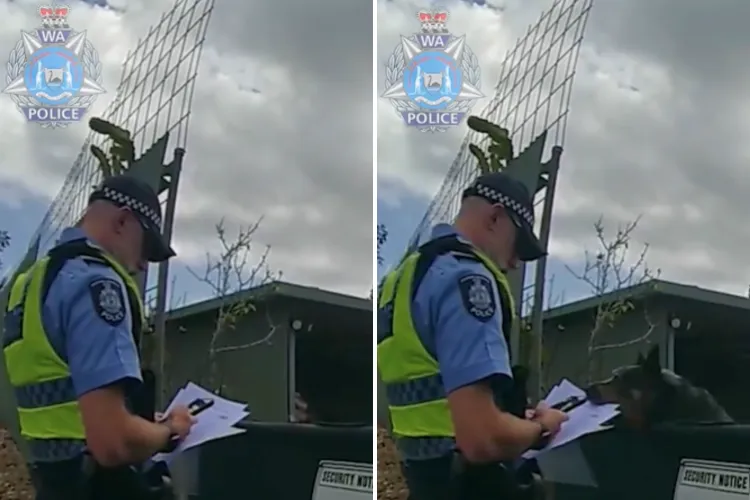 Police Arrive at a Home To Serve Papers, Dog Has Other Ideas - Newsweek