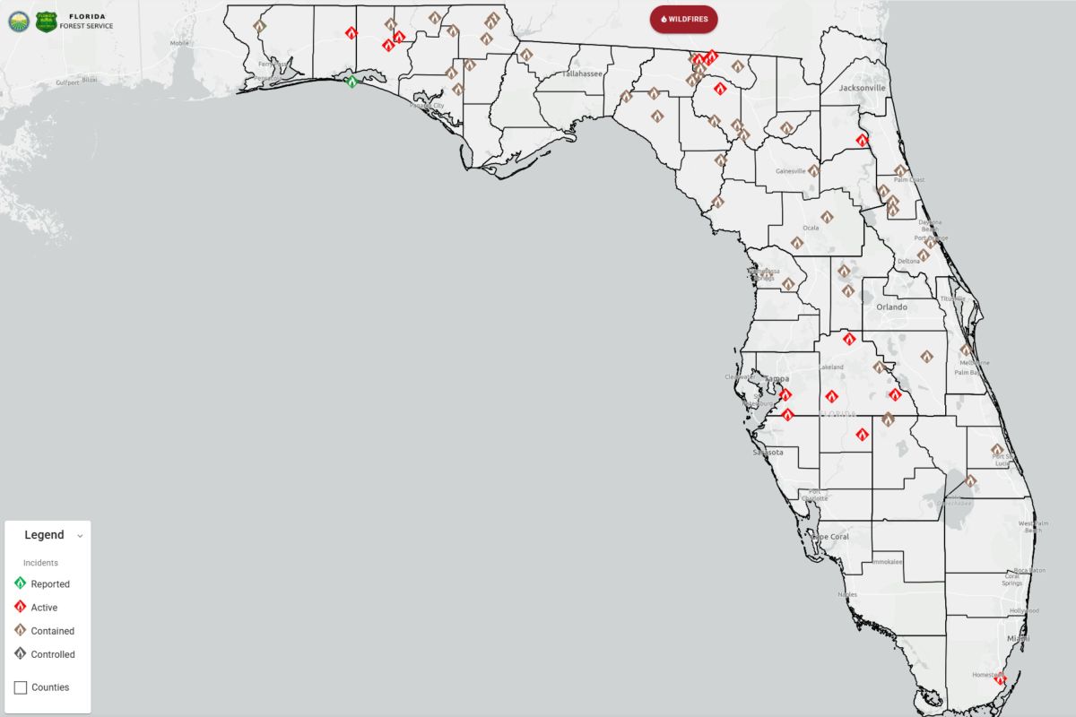 Florida Map Shows Where Wildfires Are Raging - Newsweek