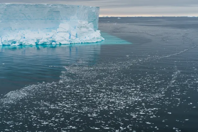 Chicago-Sized Iceberg Reveals Hidden Ecosystem - Newsweek