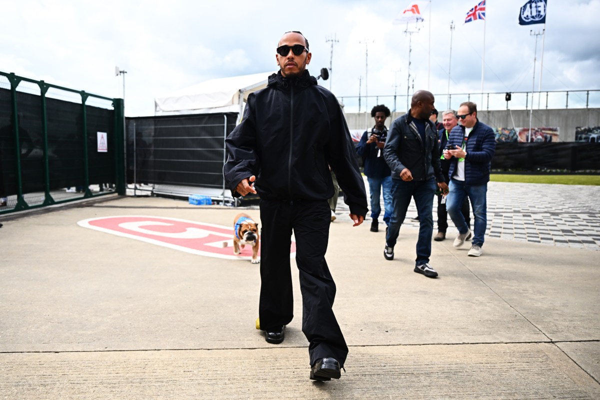 Lewis Hamilton Video Sparks Talk of Four-Legged Companion for His Dog ...