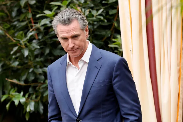 Gavin Newsom Sparks Backlash After Calling Democrats ‘Toxic’ - Newsweek