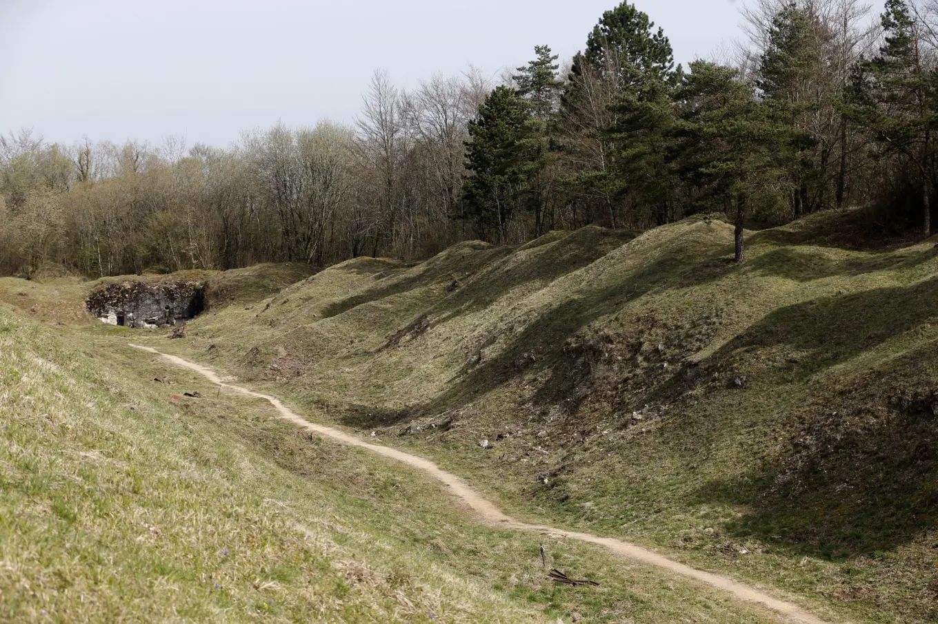The Scars of World War I Battlefields a Century Later - Newsweek
