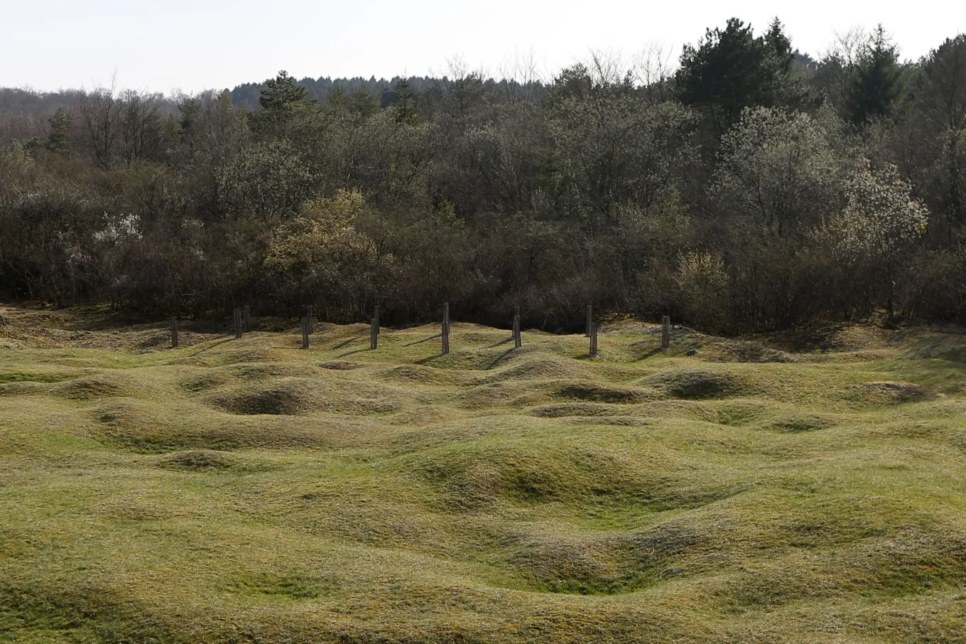 The Scars of World War I Battlefields a Century Later - Newsweek
