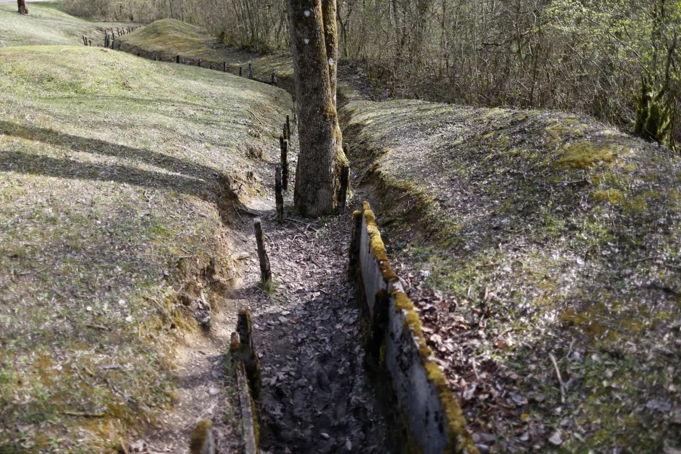 The Scars of World War I Battlefields a Century Later - Newsweek