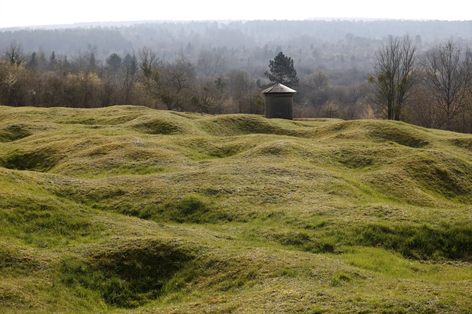 The Scars of World War I Battlefields a Century Later - Newsweek