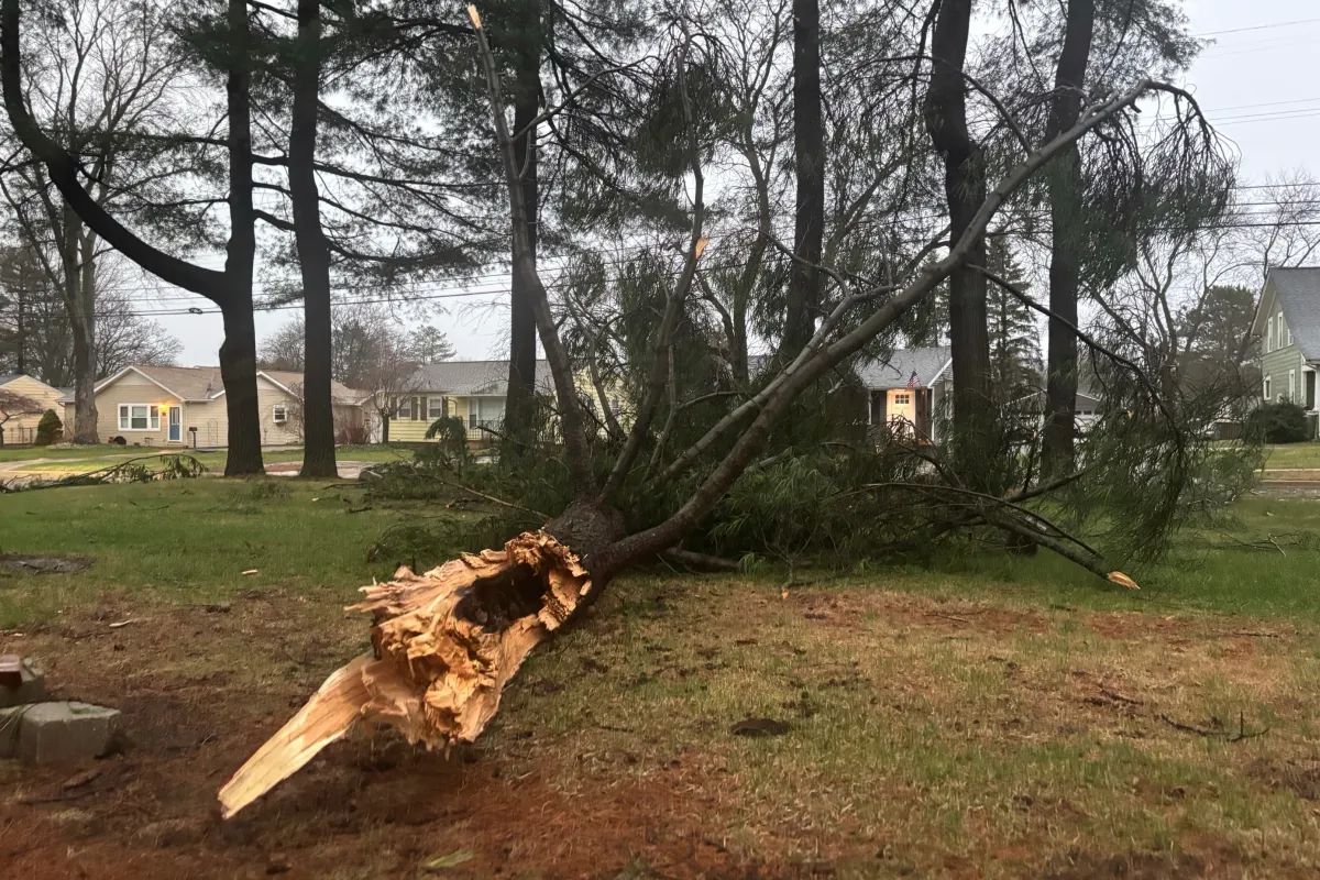 Video, photos show destruction as powerful storms sweep across US ...