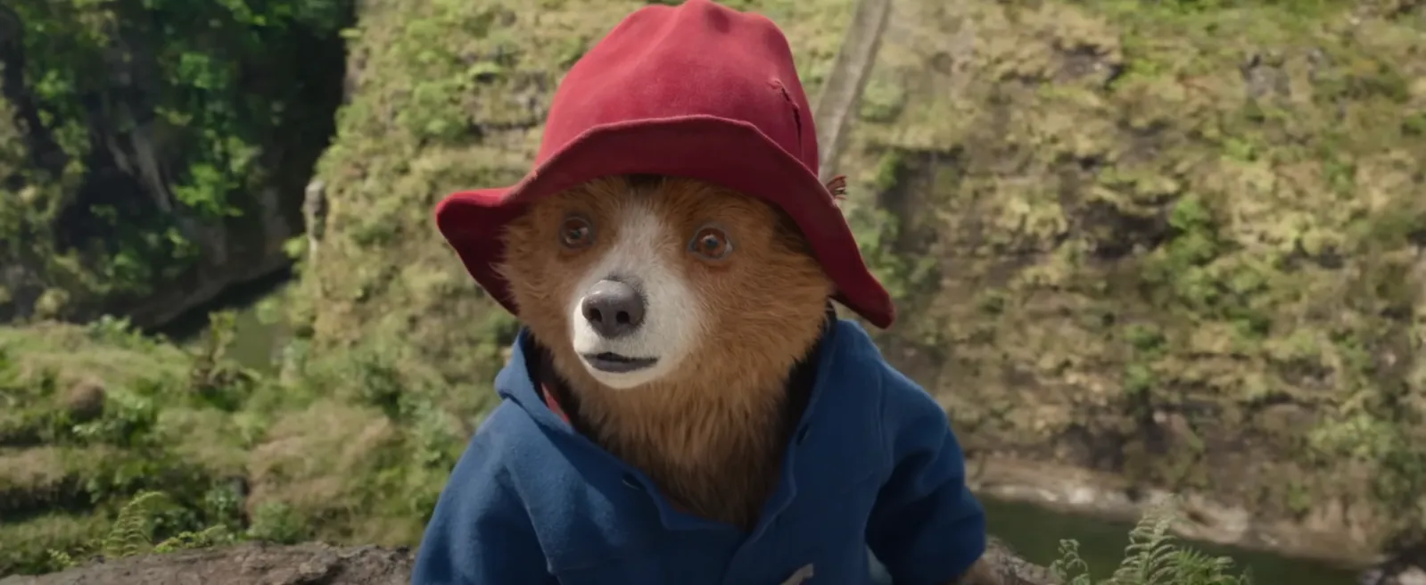 Paddington in Peru Gets New Digital Release Date – How To Watch - Newsweek