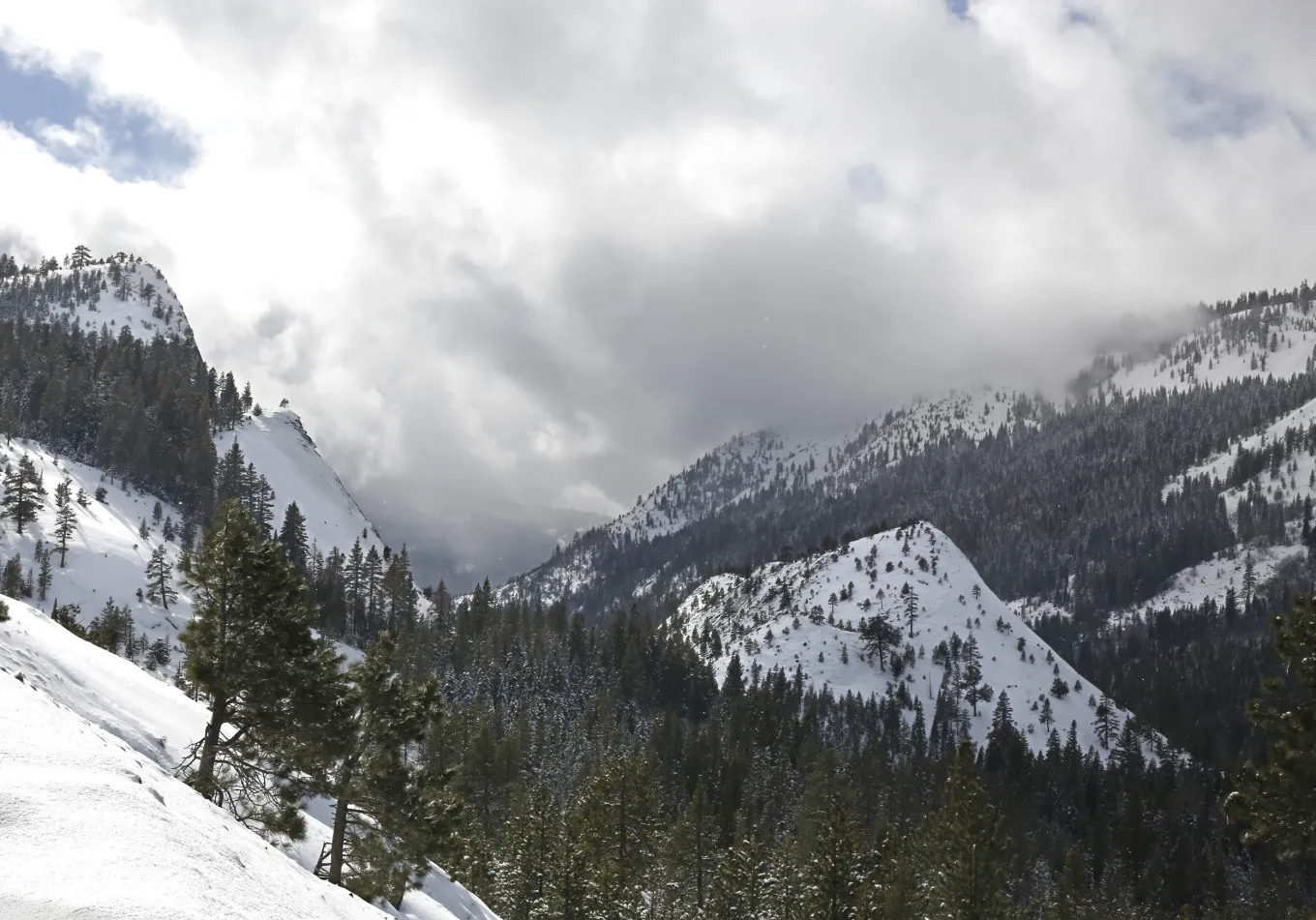 California Hits Snow Milestone for First Time in 25 Years - Newsweek