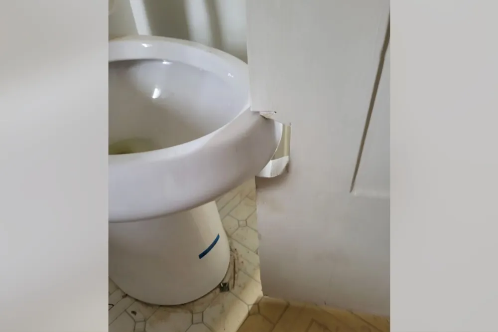 Toilet News & Latest Pictures From Newsweek.com
