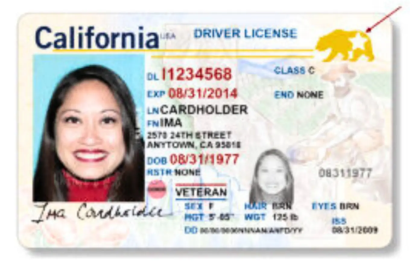 How to Know If Your License Is a Real ID Ahead of Deadline - Newsweek