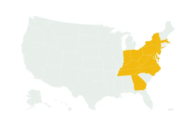 Cicada Map Reveals States Where Trillions of Bugs Will Emerge - Newsweek