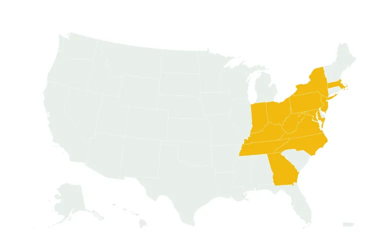 Cicada Map Reveals States Where Trillions of Bugs Will Emerge - Newsweek