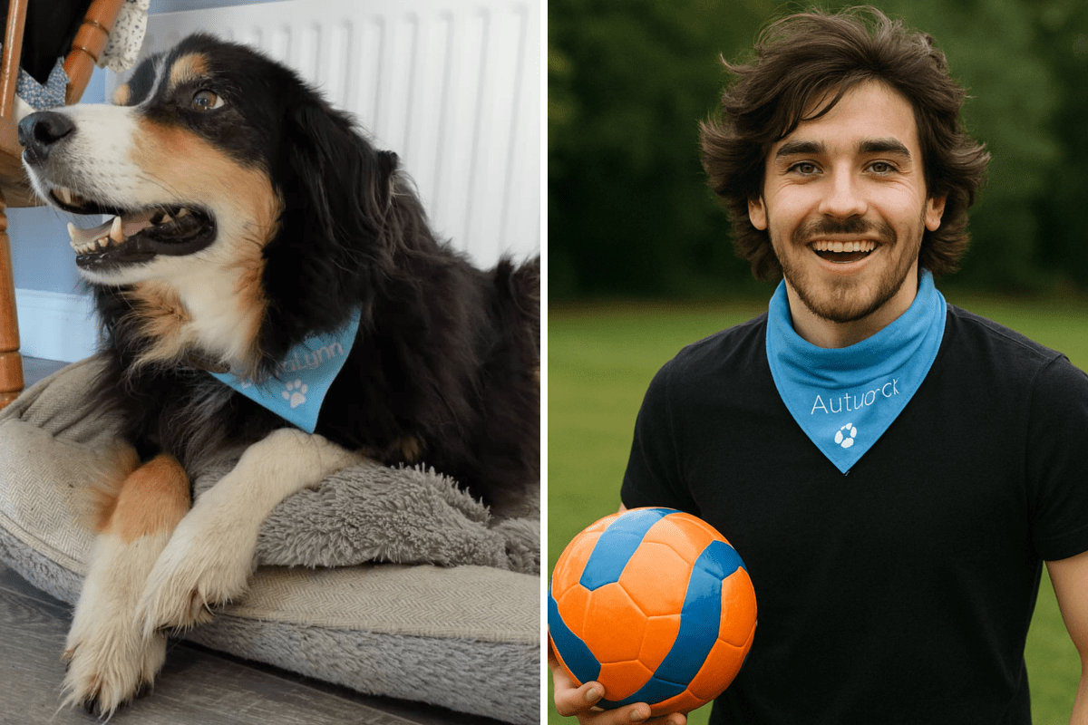 How To Turn Your Dog Photos Into a Human Version Using ChatGPT - Newsweek